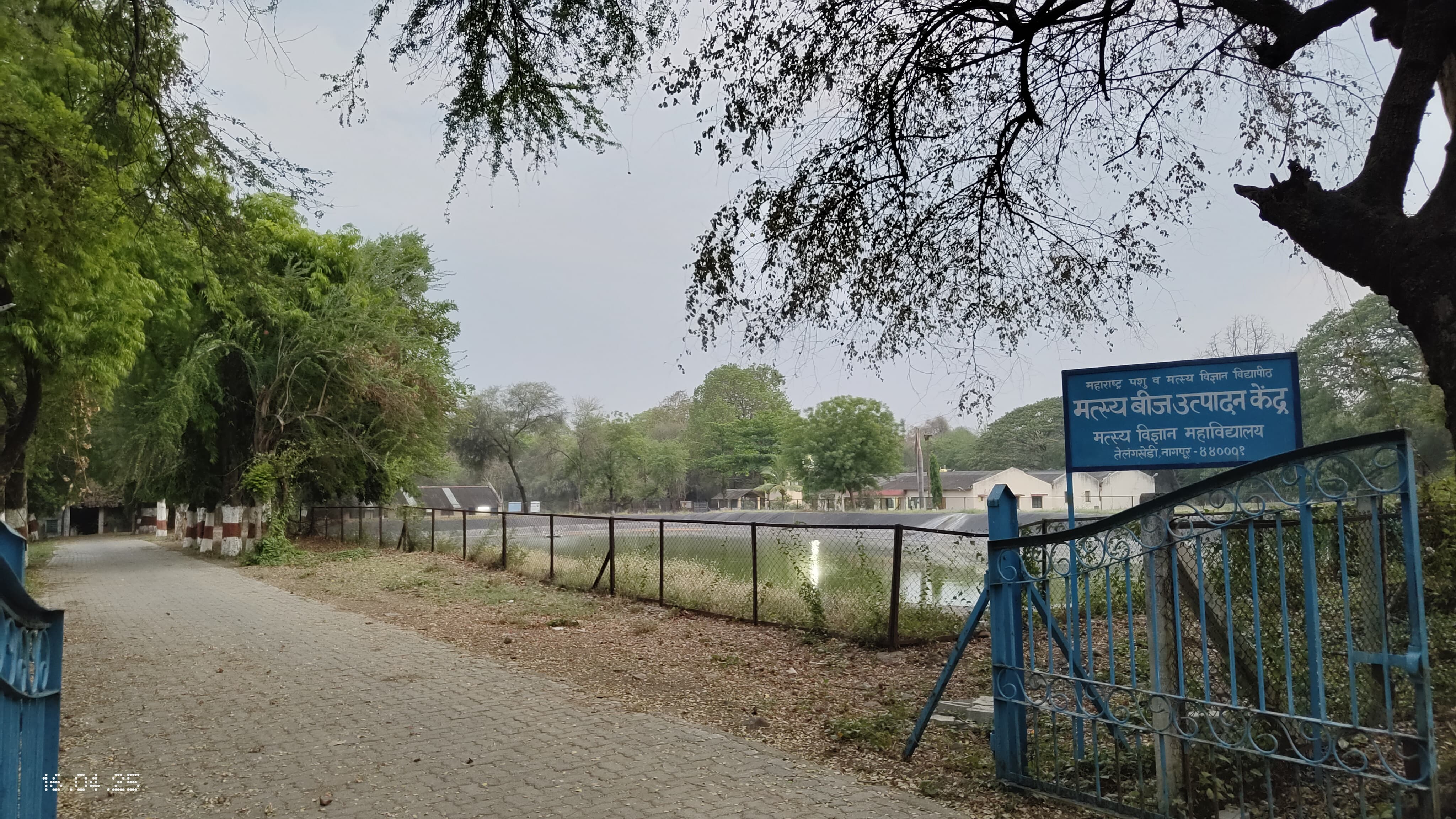 College of Fishery Science